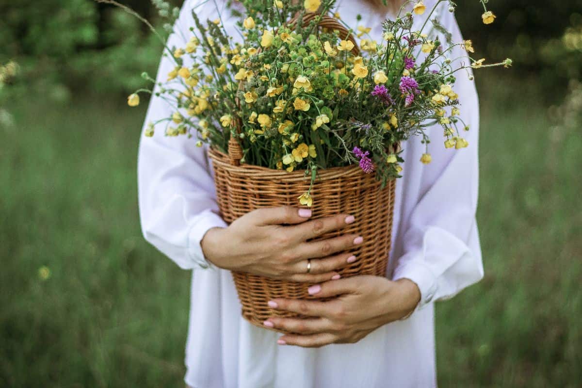 Običaji za praznik Cveti i čestitka | Lepa i srećna