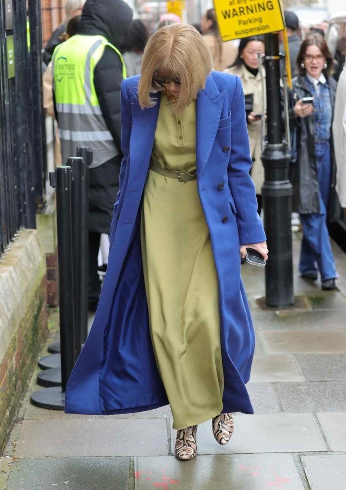 Ana Vintur u zelenoj haljini na Nedelji mode u Londonu | Lepa i srećna