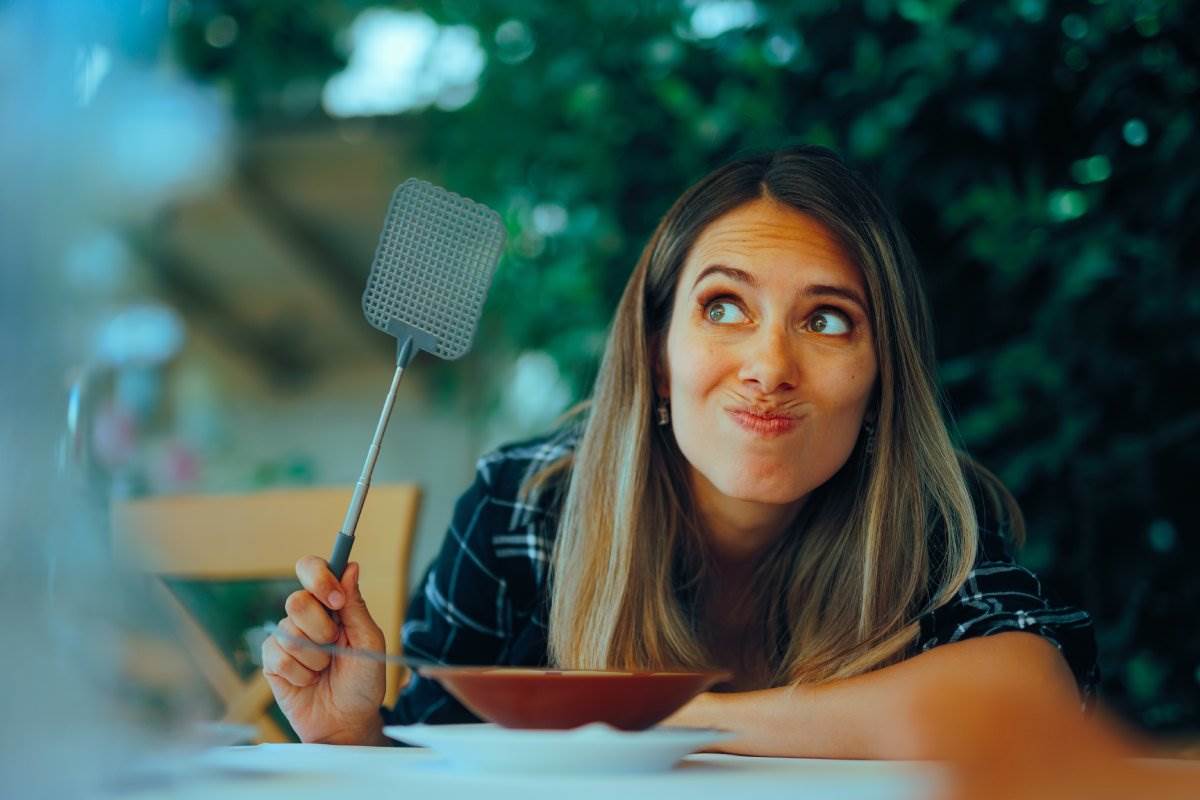 Bosiljak protiv muva i komaraca | Lepa i srećna