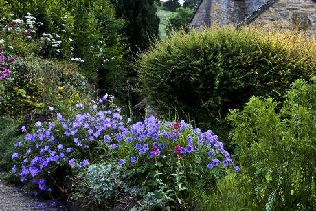 Šiblje efektno povezuje cvetnice | Lepa i srećna