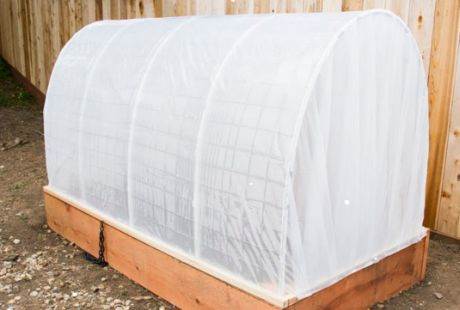 Uradi sam: kako napraviti mini plastenik idealan za baštu i terasu ...