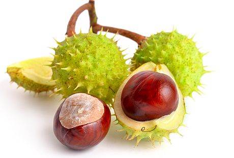 LOSION ZA SLABU KOSU ZA 0 DINARA: kako da napravite čudotvoran losion ...