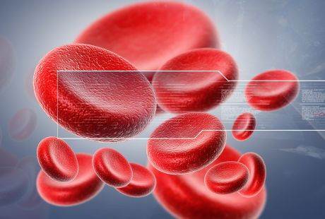 ŠTA ZNAČI RBC U ANALIZI KRVNE SLIKE: koje su normalne vrednosti ...