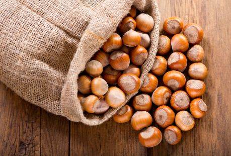 KAKO DA OSUŠITE I ČUVATE LEŠNIK PREKO ZIME: kako sprečiti da se lešnik ...