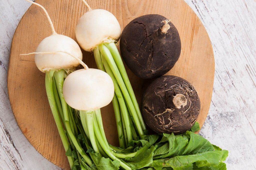 OVA ČUDESNA SALATA NE MRZNE NI NA MINUS 15: crna i bela rotkva idealno ...