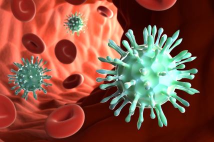 ANALIZA KRVNE SLIKE - BELA KRVNA ZRNCA: WBC je skraćenica za leukocite ...